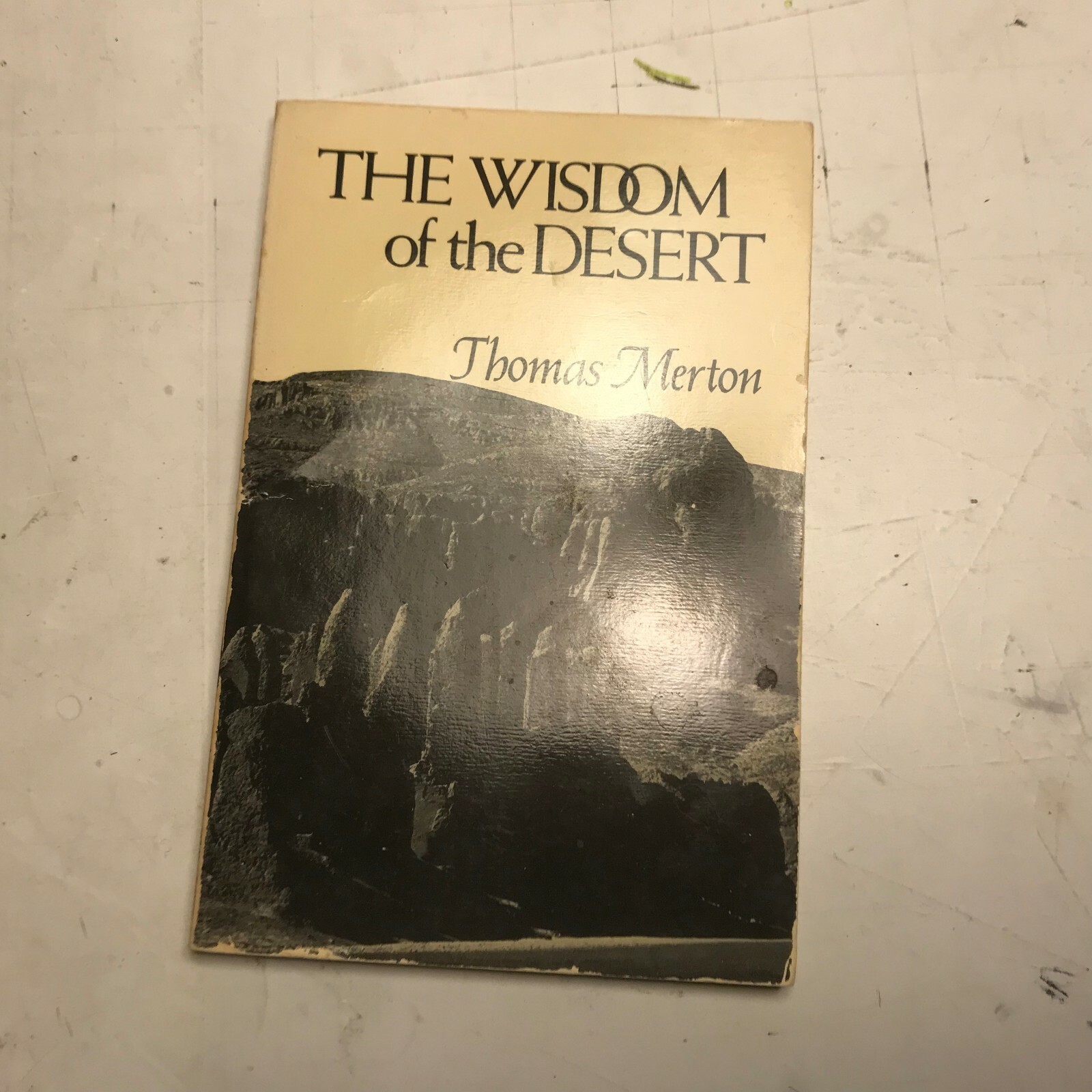 The Wisdom of the Desert Thomas Merton 11th print 1970 Paperback ndp295 ...