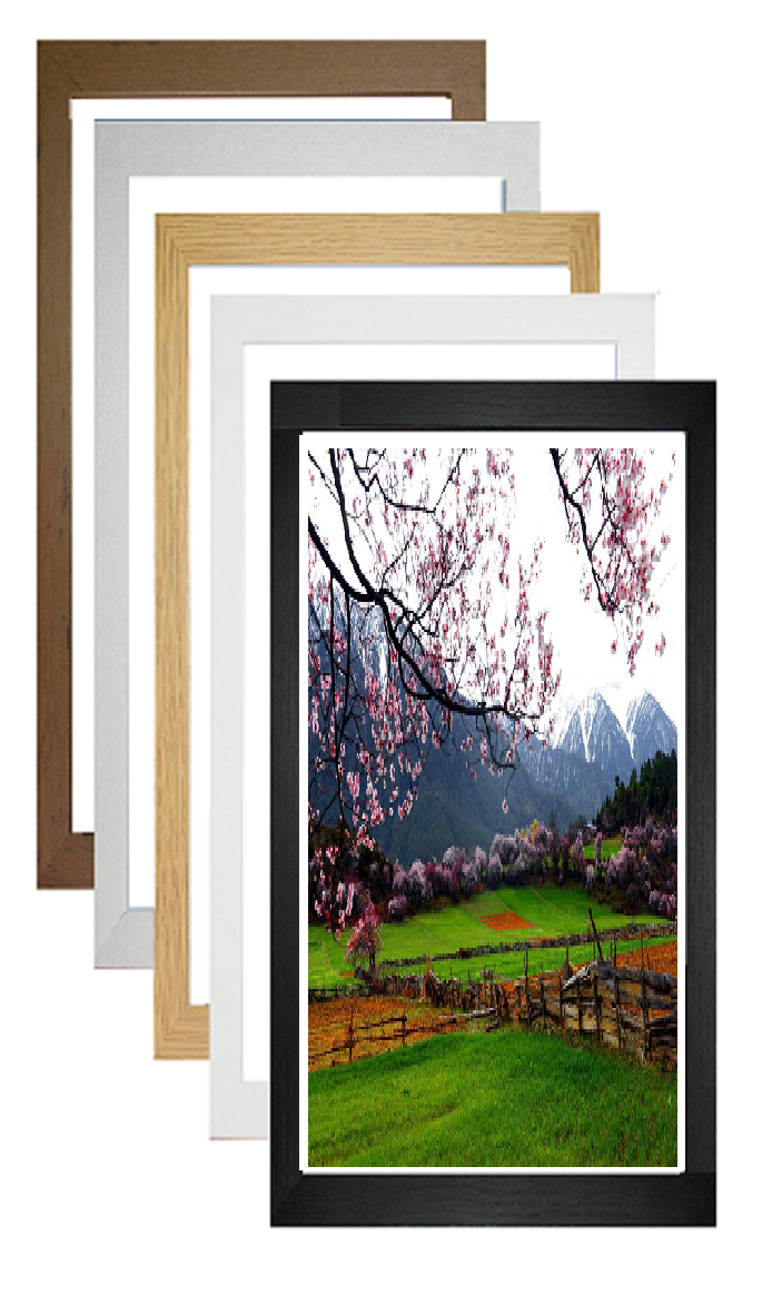Thin Picture Frame Custom 11" X 14" Matted To 8" X 10" Thin Gallery