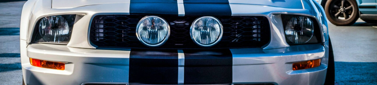 Predator Mustang Inc | eBay Stores