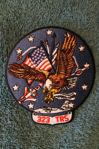 323 TRS - TRAINING SQUADRON PATCH AIR FORCE USAF Eagle Salute Military ...