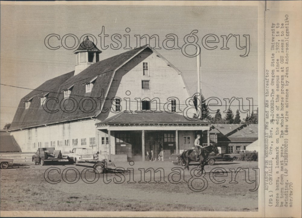 1970 Horse Barn Oregon State University Press Photo | eBay