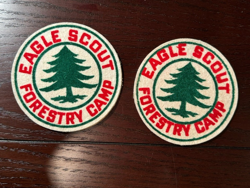 Eagle Scout Forestry Camp Patch Wisconsin Region 7 Boy Scout ...