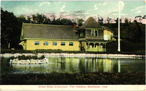 Manchester Iowa United States Government Fish Hatchery Postcard Posted ...