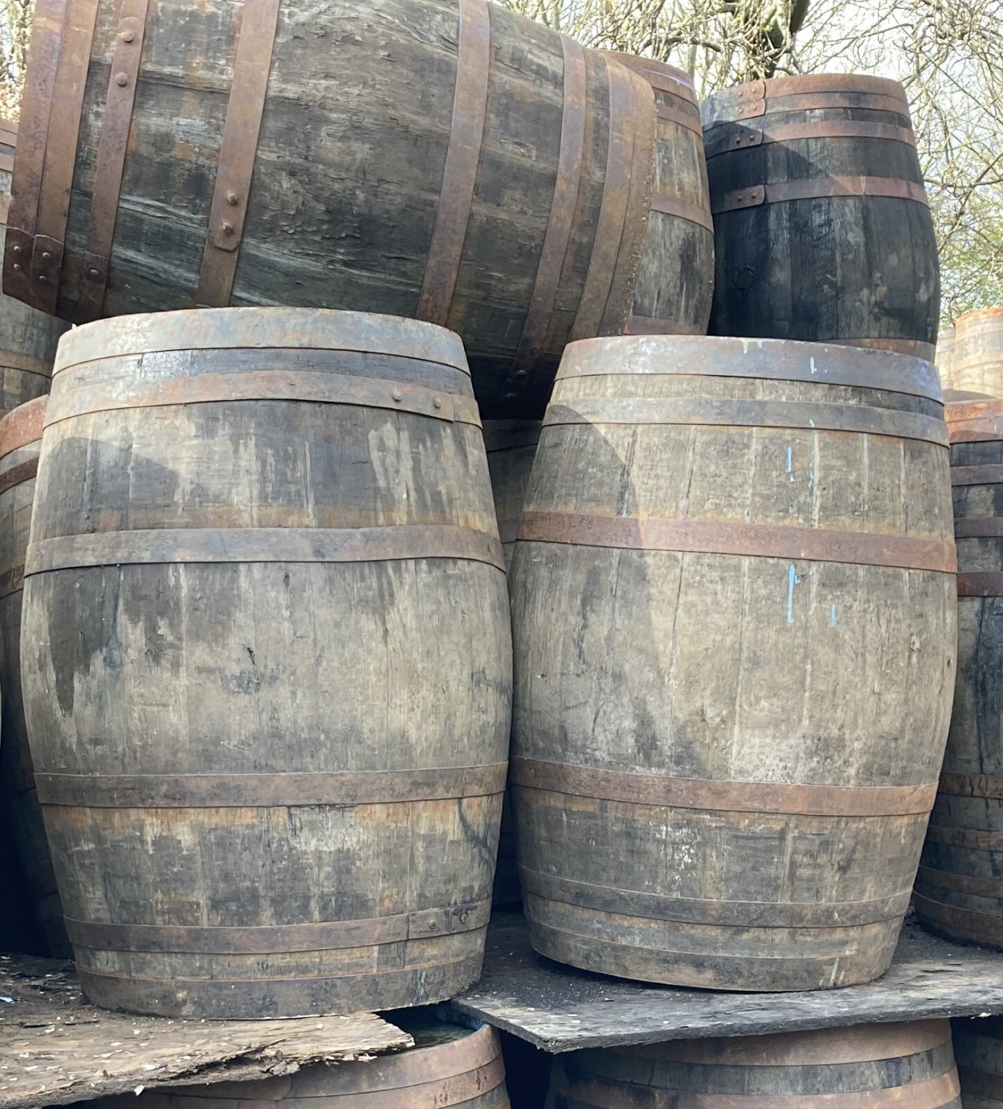 Recycled Solid Oak Hogshead Barrel for Outdoor Garden | eBay UK