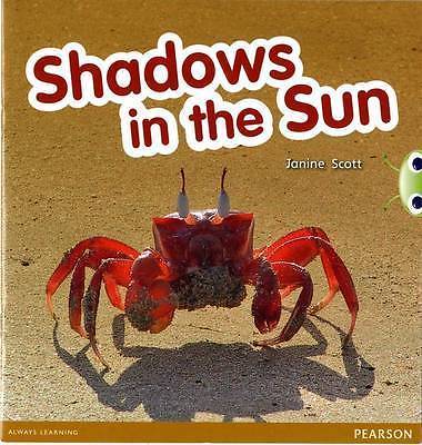 Shadows in the Sun by Janine Scott (Paperback, 2016) for sale online | eBay