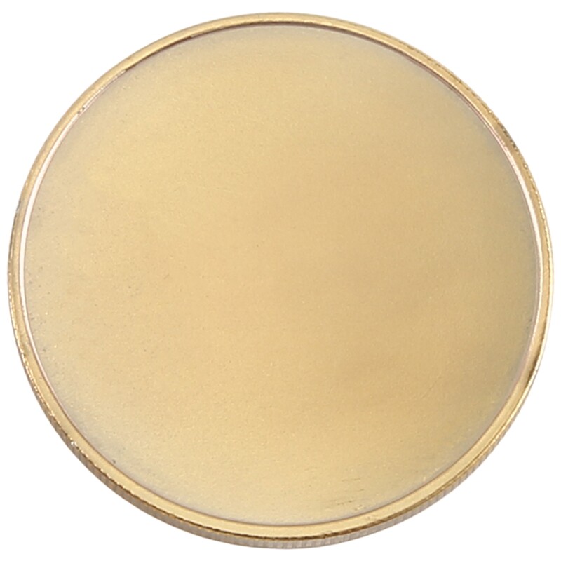 10 Pcs Blank Challenge Coin, Engraving Blanks Coins, 40mm Diameter with ...