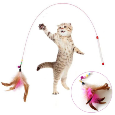 Stick Dangle Bell Kitten Toys Feather Interactive Cat Teaser Wand Play ...