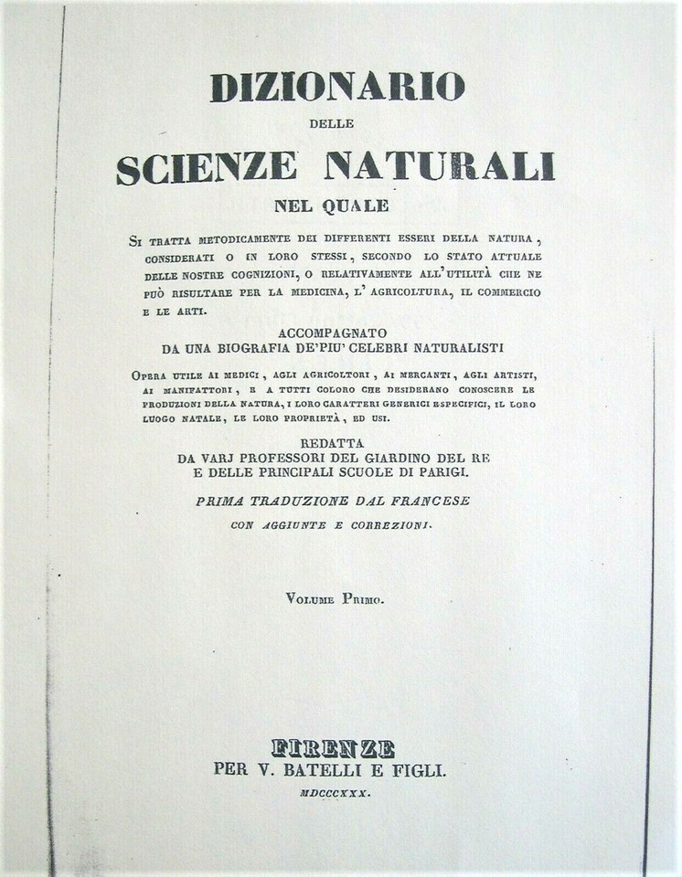 Turpin Original Antique Bird Print; Hand Colored Engraving: Florence ...