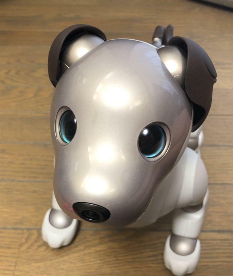 Sony AIBO ERS-1000 Entertainment Robot Dog Ivory White | eBay
