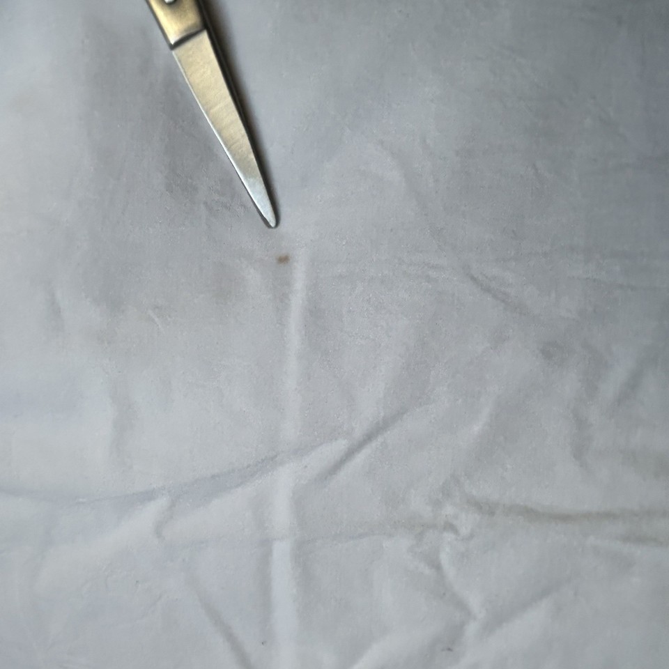 Pine Cone Hill Sheet Set Twin White w/ Embroidered Green Hem Stitch ...