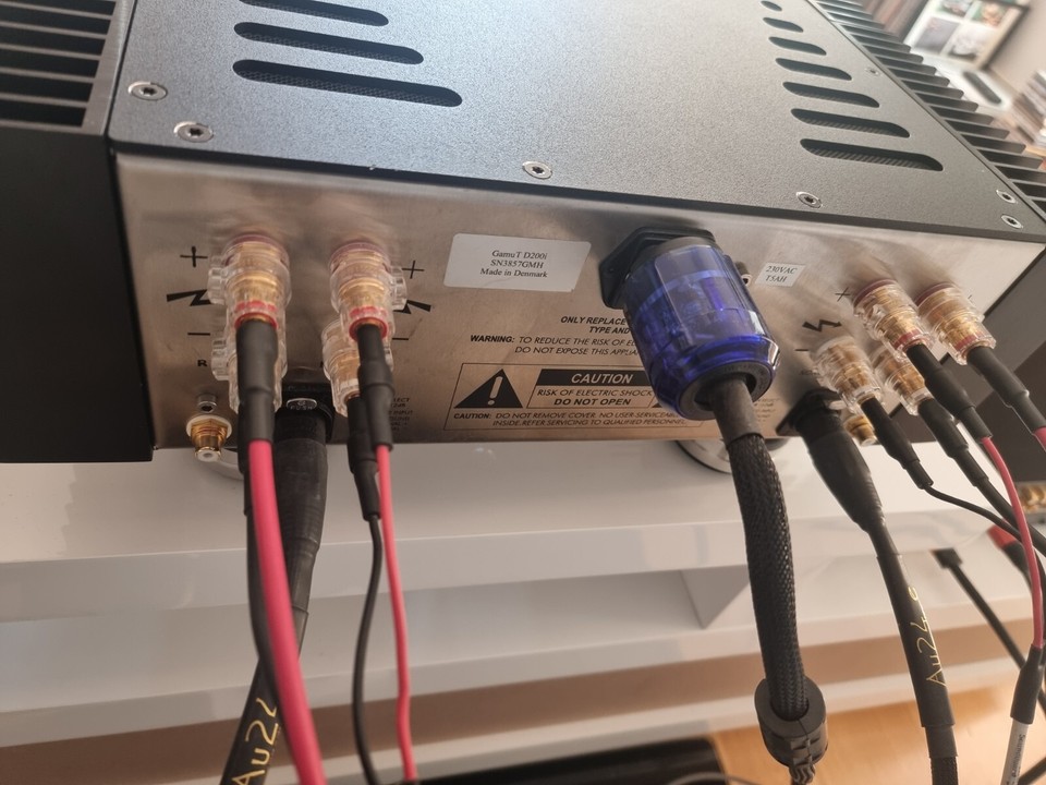 GamuT D200i High End Stereo Power Amplifier Amp D-200i | eBay