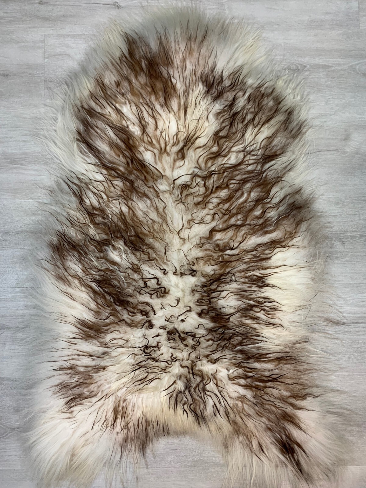 Icelandic Curly Mouflon Brown Pelt Throw Blanket Hide Genuine Sheepskin ...