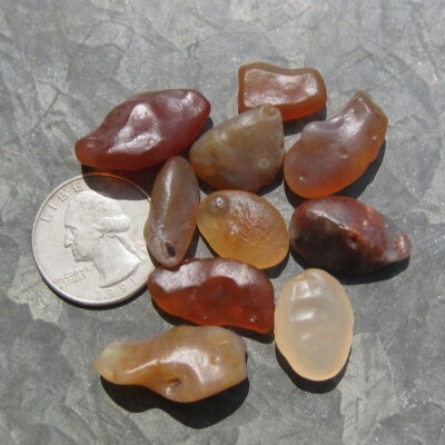 10PCS Natural Gobi agate/Jasper stone jinmai stone for Bonsai Suiseki ...