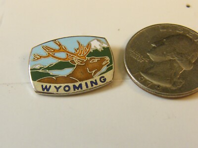 WYOMING TRAVEL PIN | eBay