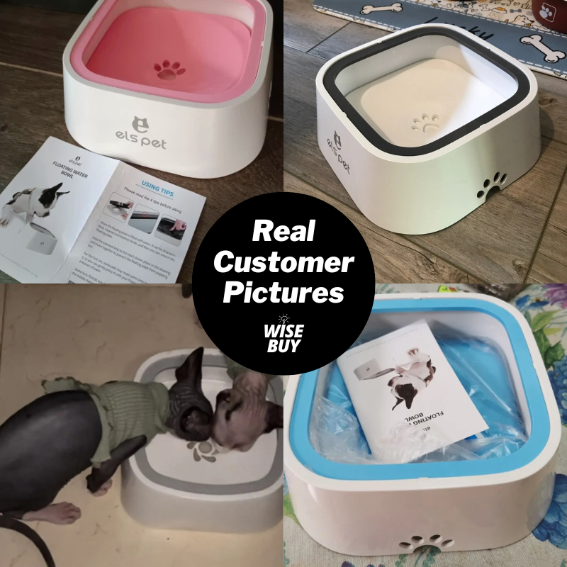 the Zero Splash Dog Drinking Water Bowl | eBay