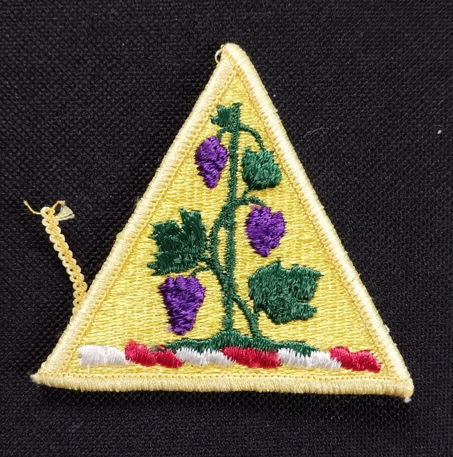 Vintage Connecticut National Guard Insignia US Military ARMY Patch ...