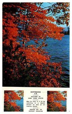 Postcard WATER SCENE State of New York NY AR0384 | eBay