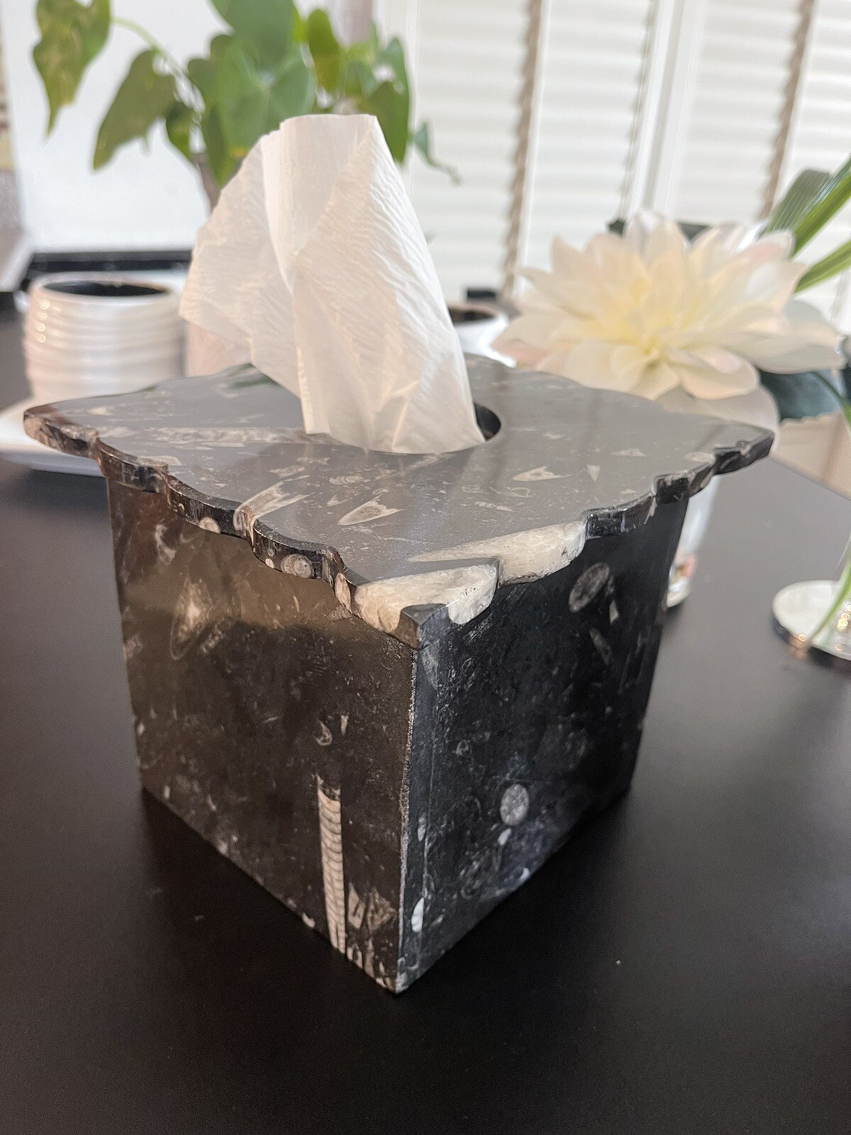 Black Square Fossils Orthoceras Tissue Paper Box Cover | eBay