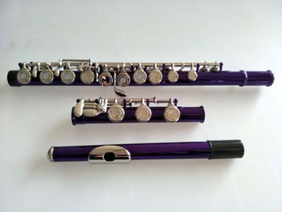 New Color 17 open hole Purple flute + E Key +Case | eBay