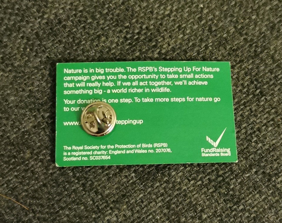 * RSPB PIN BADGE * GREAT BUSTARD * GUC * VERY RARE * | eBay UK