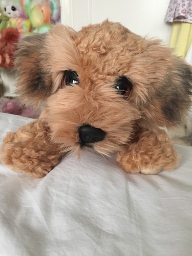 Keel Toys SD2541 Soft Toy Signature Cuddle Puppy Wheaten Terrier Brown ...