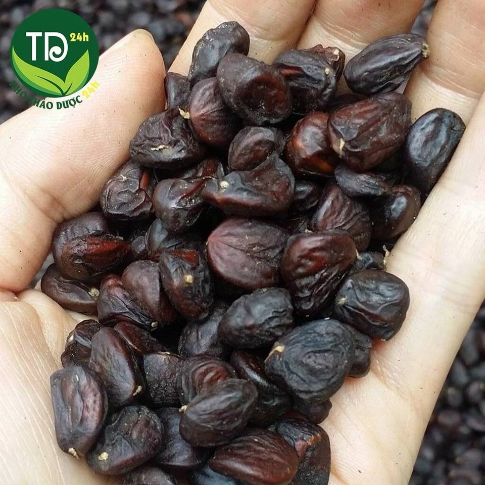 Doi Seeds Hạt Dổi Hạt Giổi (le Talauma) Hat Doi Rung Vietnam Special ...
