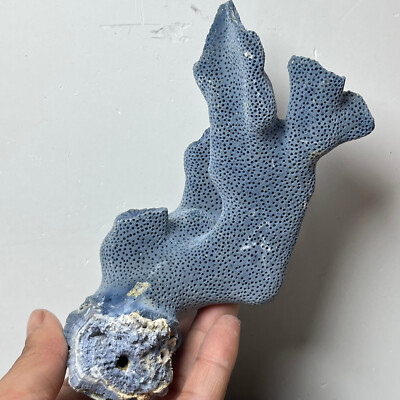 Vintage Blue Ridge Natural Reef Cut Coral Specimen Deep Blue Color Nice ...