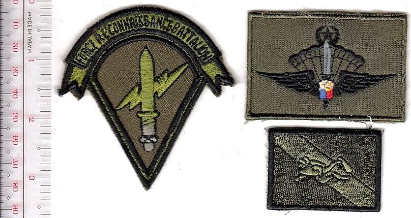 RECON Philippines Navy Marines Force Recon Battalion Master Freefall ...