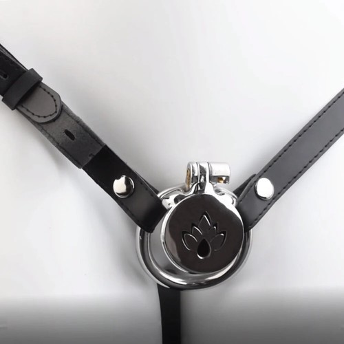 Stainless Steel Male Inverted Chastity Cage Device Ring Lock Belt | eBay