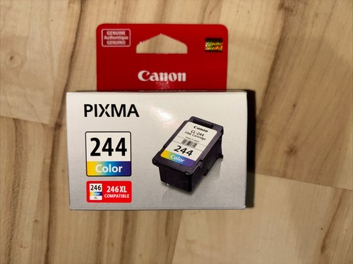 Canon CL-244 Color Ink Cartridge NEW, genuine 13803282276 | eBay