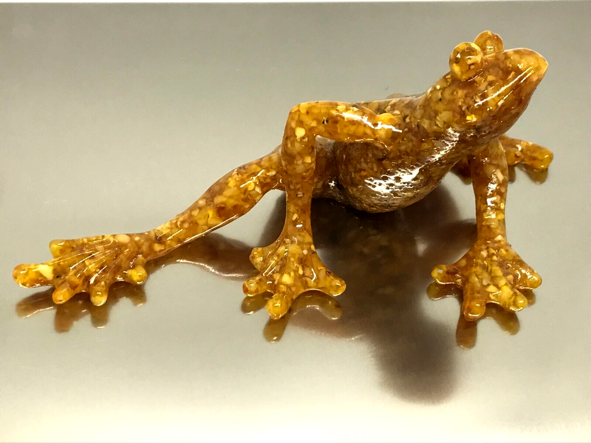 Amber Fossils Frog