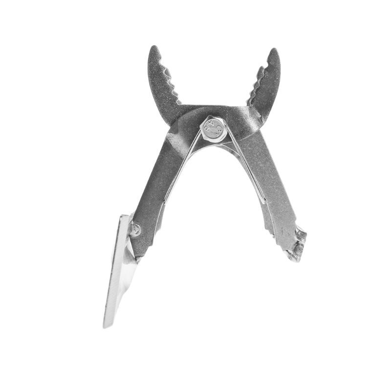 Clip Stainless Steel Frame Clamp Grasp With for Case C | eBay