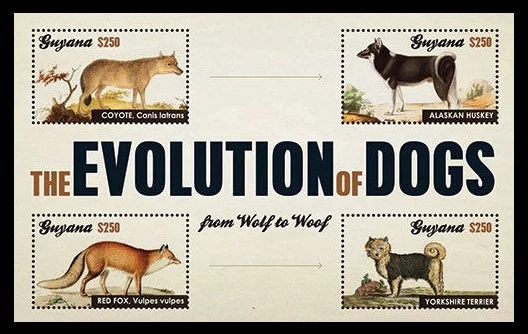 Evolution Of Dog Timeline