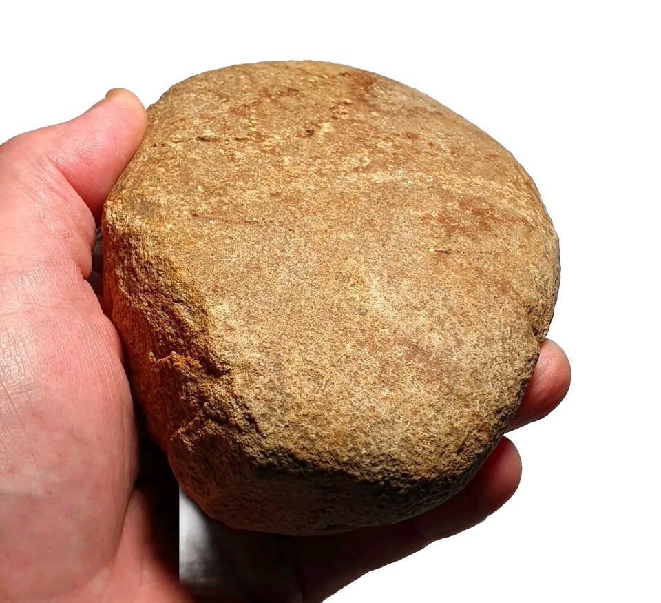 Prehistoric British Neolithic Bronze Age Quartzite Grinding / Hammer ...