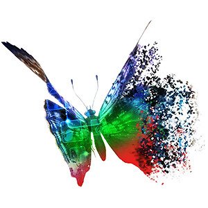 Metamorphoxis | eBay Stores