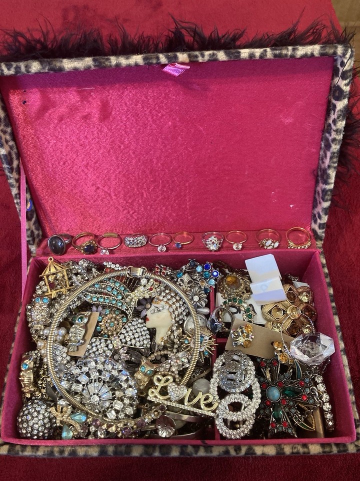 Vintage Junk Jewelry Draw Rhinestones Pegasus Coro BSK Sara Lisner ...