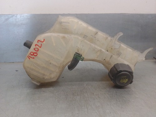 217100014R CAUZIONE DI ESPANSIONE / 217100014R / 4620882 PER RENAULT ...