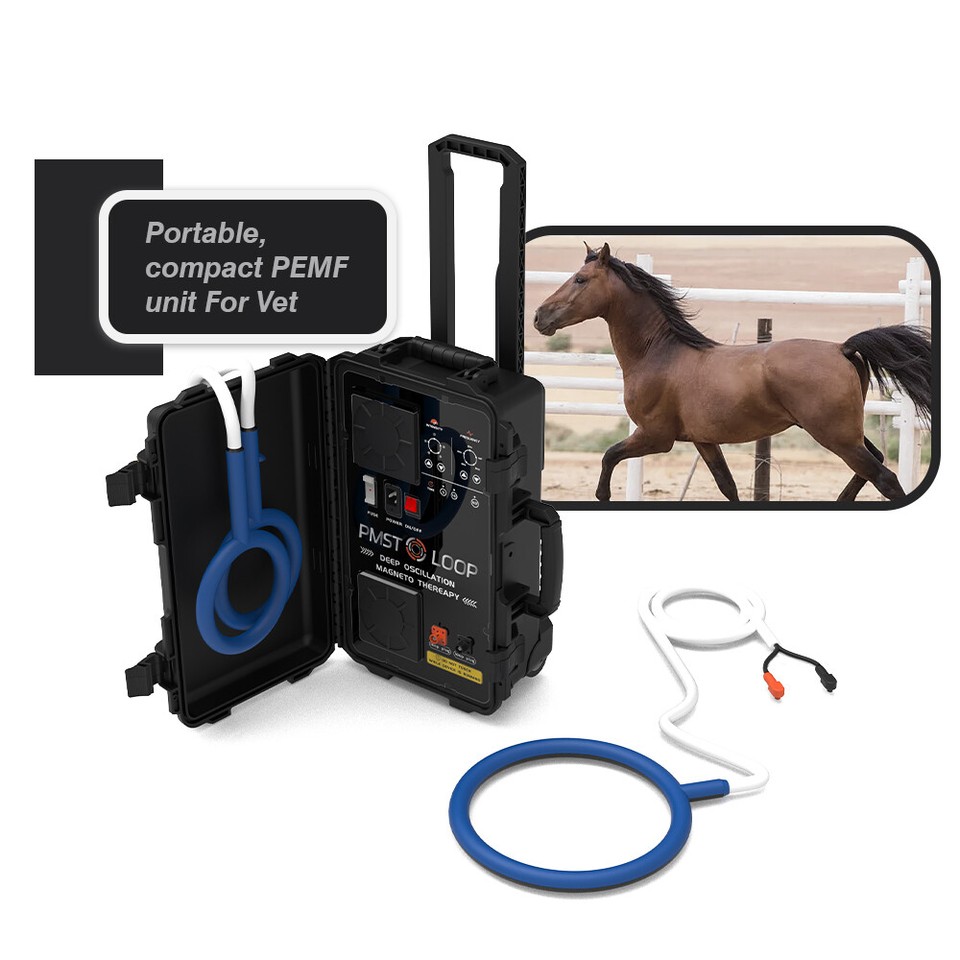 Horses PEMF Pulse Electromagnetic Therapy PMST Machine Double Loop F ...
