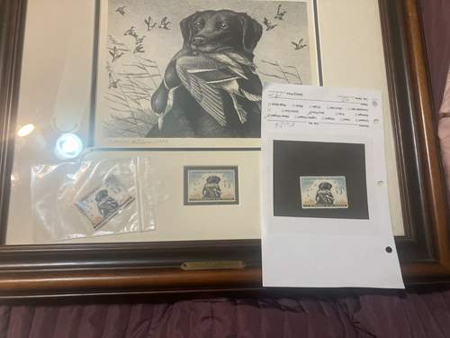 RW26 1959 - Federal Duck Stamp Print **MAYNARD REECE** 1st Edition w/ 2 ...