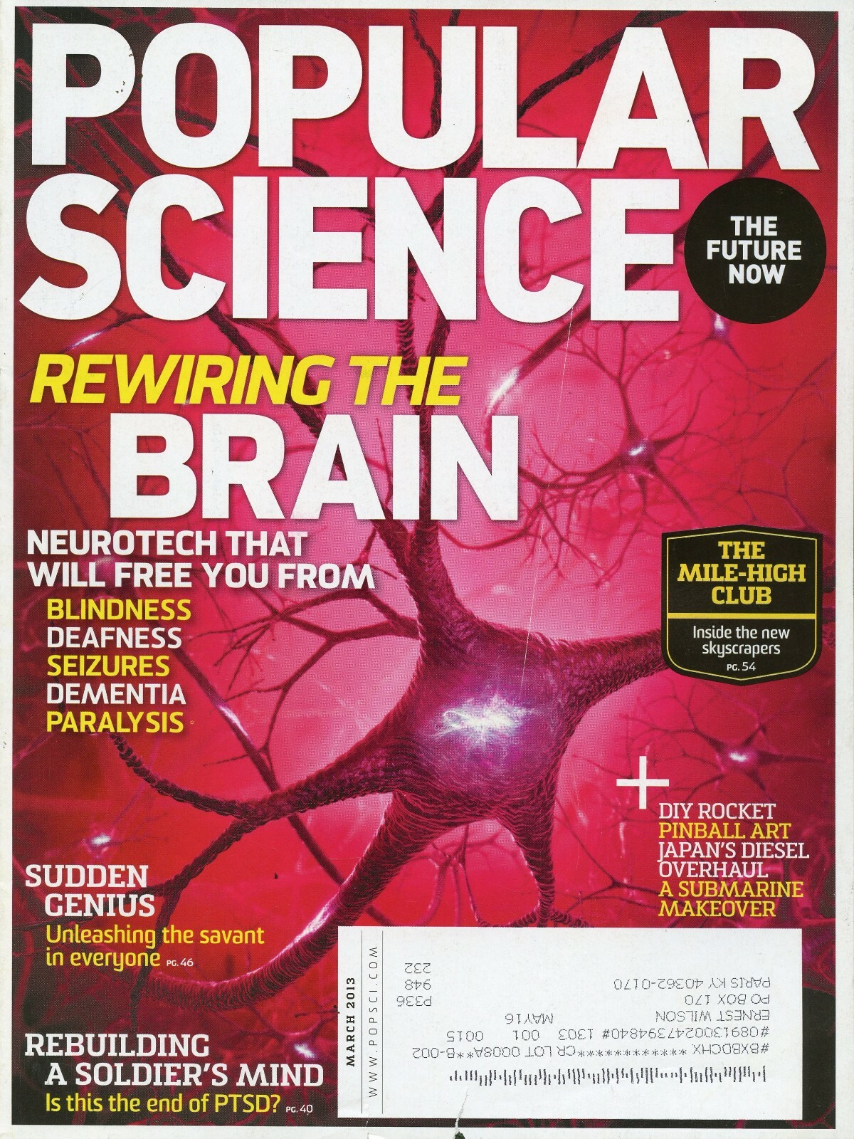 Science Magazine Cover Brain