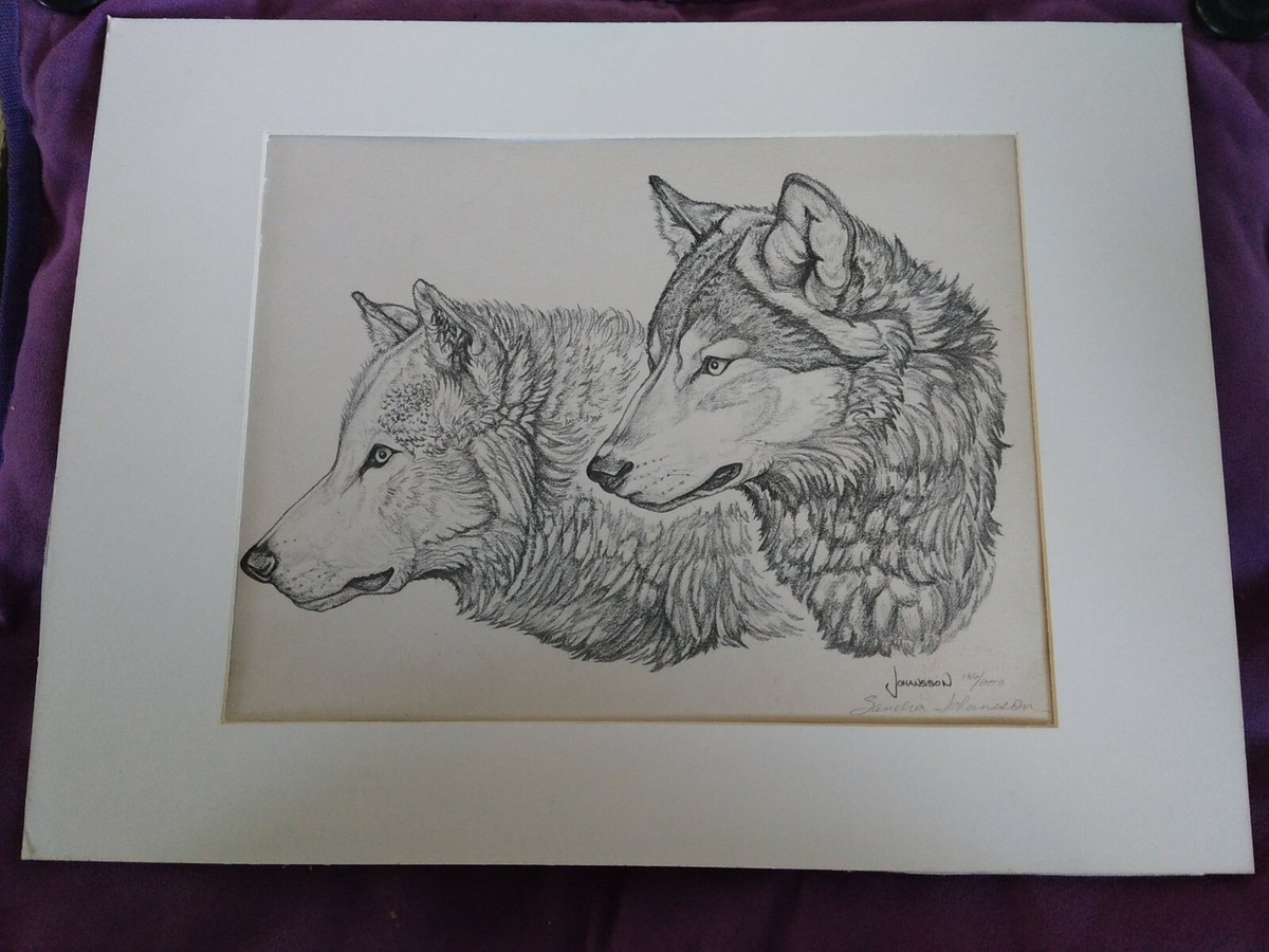 Graphite Drawings Wolves