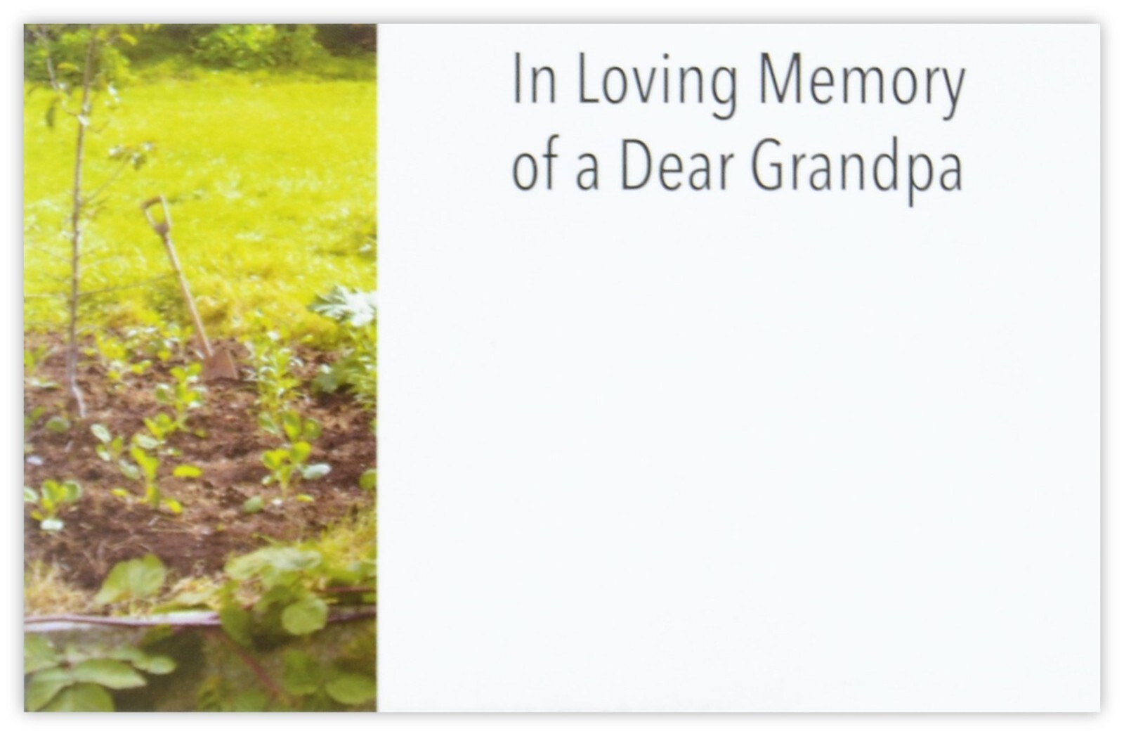 In Loving Memory Male Flower Message Cards - Brother, Dad, Grandad ...
