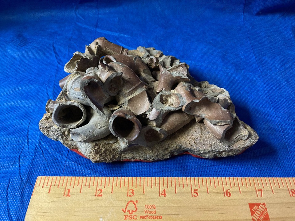 Indian Artifacts Vintage Clay Trade Pipe CLUSTER 1850’s POINT PLEASANT ...