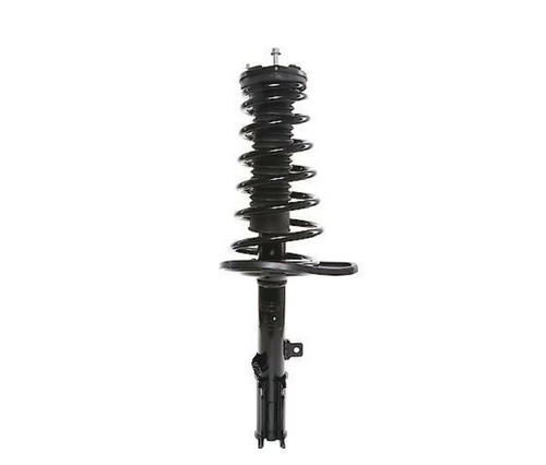 Carquest Premium Struts Suspension Strut and Coil Spring Assembly 18 ...