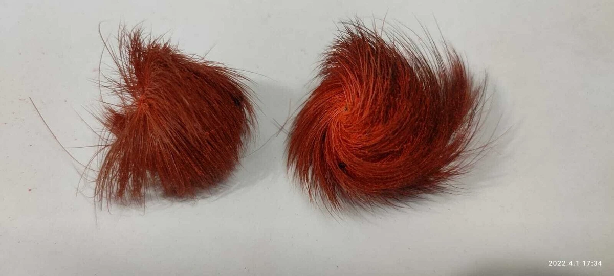 Siyar Singhi Flower Test | Best Flower Site