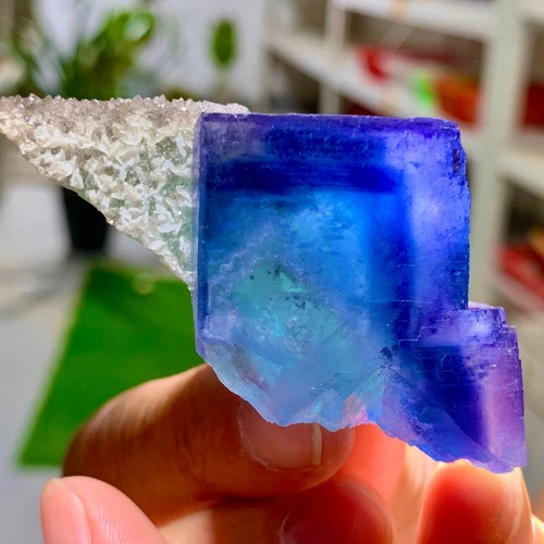63G Rare natural transparent blue cubic fluorite crystal sample/China ...