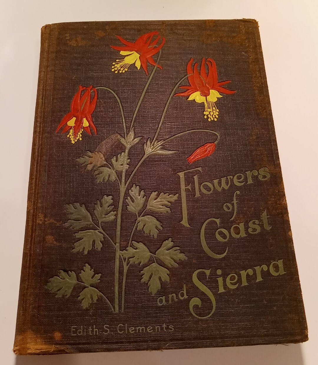 1928 Flowers of Coast and Sierra Color Plates Edith Clements LOC Ex-lib ...