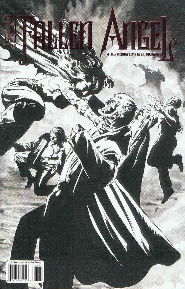 Fallen Angel (IDW) #25A VF/NM; IDW | Peter David Retailer Incentive ...