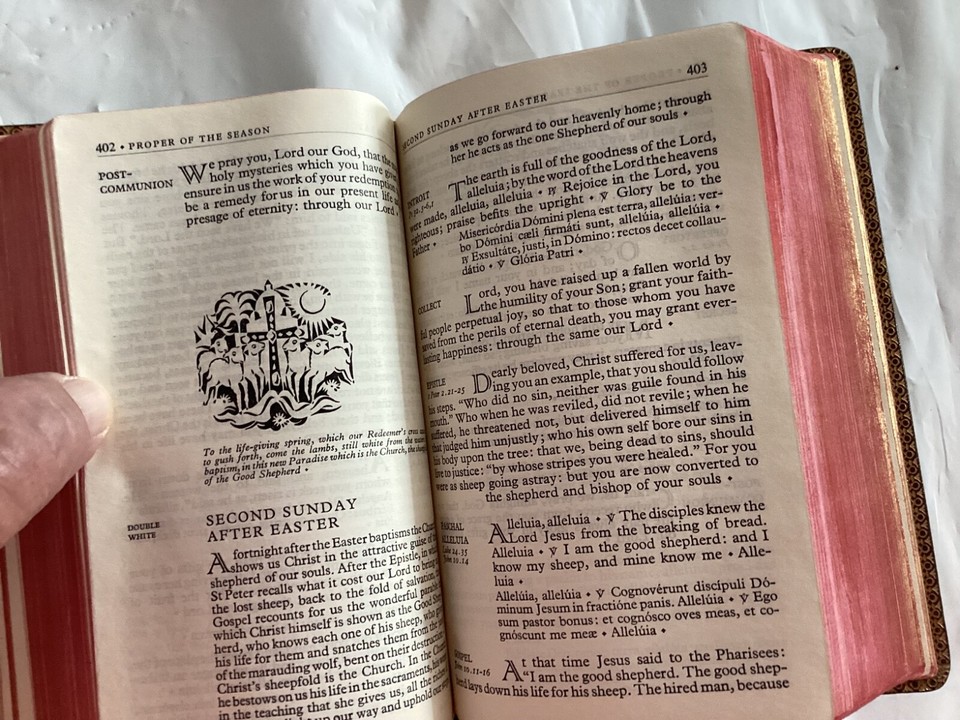 SAINT ANDREW DAILY MISSAL DOM GASPAR LEFEBVRE, O.S.B | eBay