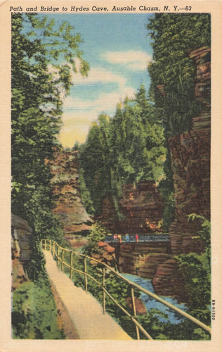 Postcard Path and Bridge to Hydes Cave, Ausable Chasm, N.Y., VTG ME4 ...